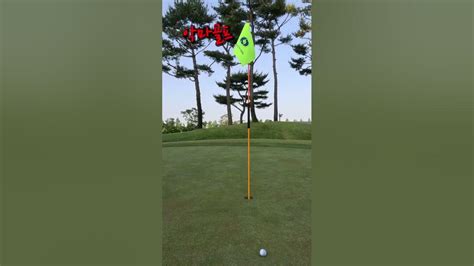 안줘 그럼 나두 안줘악마골프맥스골프스쿨신월정진욱프로골프레슨 Golf 골프스윙 골린이 필드레슨 Golfswing 퍼팅레슨퍼팅잘하는법 백돌이