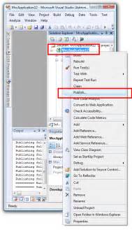 Bin Deploying Aspnet Mvc