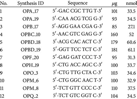 Rapd Polymorphic Primers And Their Sequence Id Download Scientific