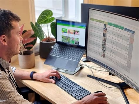 curve analytics on linkedin often attention to detail structure and proactivity are core to