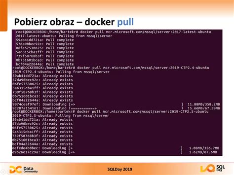 Sql Server Docker Pierwsze Kroki Pdf Databases Computer