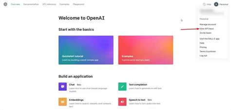 How To Get An Openai Api Key In Simple Steps Scraprover