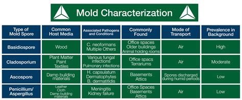 Mold Classification Chart At Sean Swick Blog