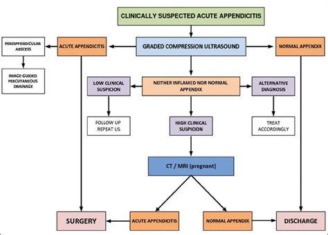Imaging Acute Appendicitis State Of The Art Journal Of Clinical