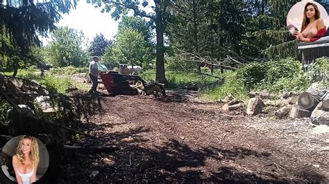 Toro Dingo Moving Some Wood