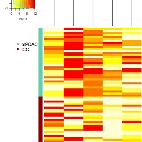 Heatmap Visualization Of The Best Five Markers Performance In