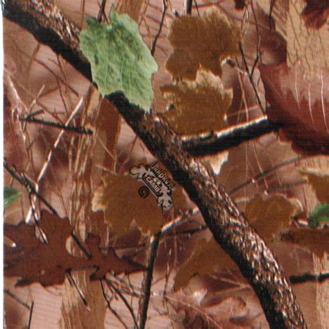 IMX CAM Imaginixhydro Com