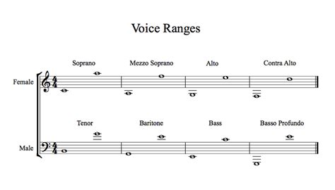 What Is An Octave In Music Definition Uses And Examples