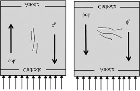 Cracks Pattern And Flow Conditions In The Tested Samples Download Scientific Diagram