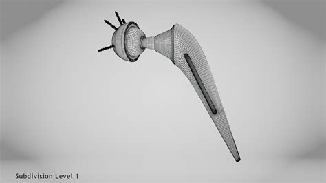 3d Hip Implant Model Turbosquid 2133106