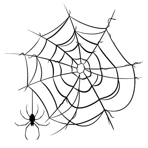 Spider Web Drawing Png
