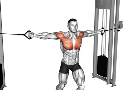 5 Cable Pec Exercises To Boost Your Chest Gains Workout Guru