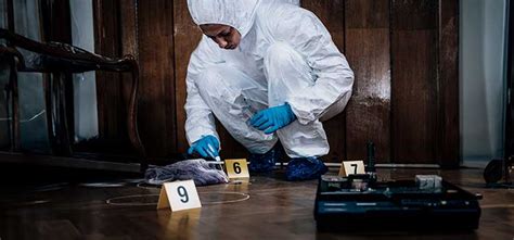 What Are Forensic Science Tech Salaries Like In Kentucky
