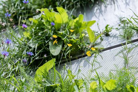 New Cladding System Will Help Deliver Biodiversity Net Gain Vertical