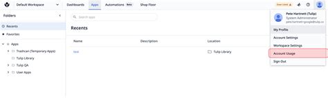 Tulip Ai Usage And Pricing