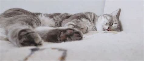 租车公司将他告上法庭，结果反被罚5万！车辆诉讼尤某