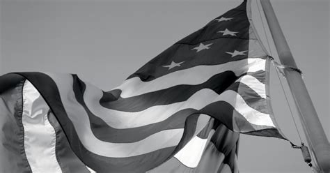 Americas Ruling Class Wants To Reduce Us To Incompetence The