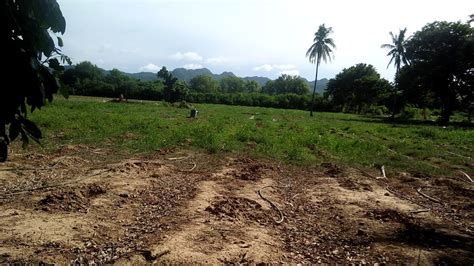 โรงเรียนวัดจรเข้เผือก ในเมืองอำเภอ ด่านมะขามเตี้ย