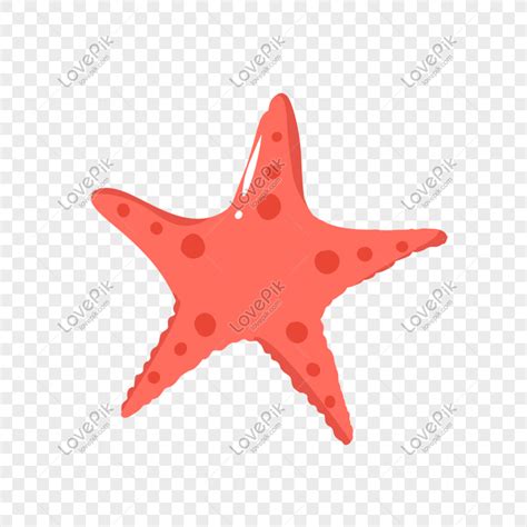 만화 비치 불가사리 일러스트 레이션 Png 일러스트 무료 다운로드 Lovepik