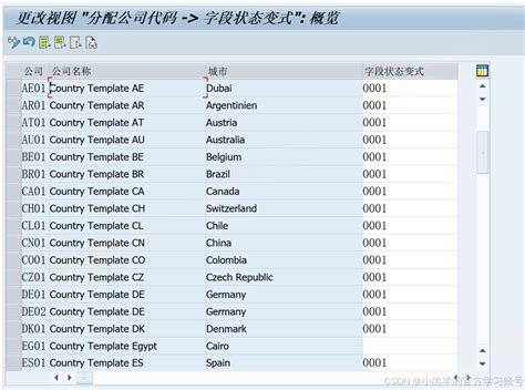 【sap Fi】总账会计系统配置 Sap总账科目类型配置路径 Csdn博客
