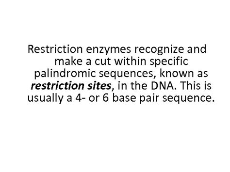 Restriction Enzymes Restriction Enzymes Enzyme That