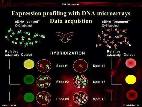 dna microarray