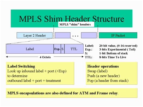 Mpls Shim Header Structure