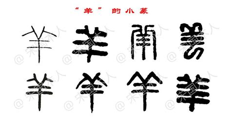 羊汉字的起源与演变小学一年级语文生字 第65集 知乎