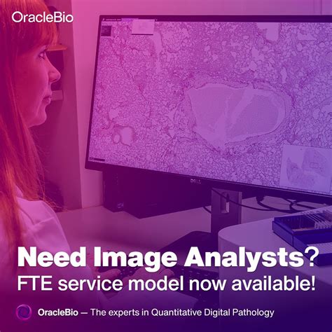 cristina suanno on linkedin imageanalysis spatialanalysis
