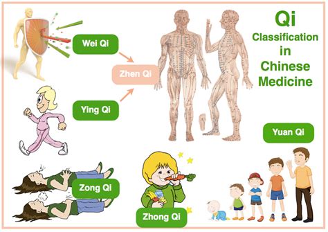 Acupro Academy ⭐️qi Classification In Tcm Yuan Qi