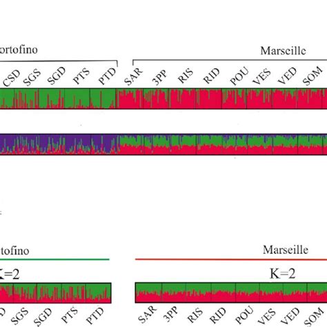 Population Structure As Inferred By The Structure Analysis Each