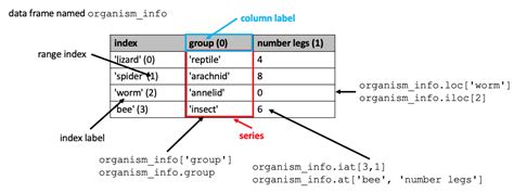 Codegraf Pandas Series And Data Frames Digital Scholarship Resources Vanderbilt Libraries