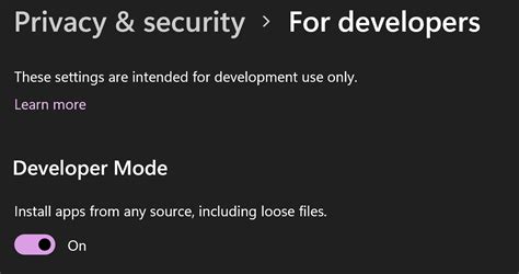 Error In Command Add Appxpackage My Terminal Is In Administrator