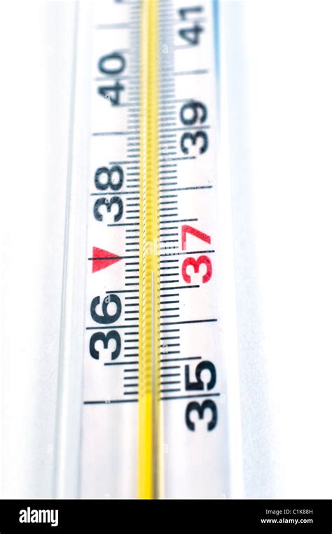 How To Use A Thermometer Under Arm At Olivia Quinn Blog