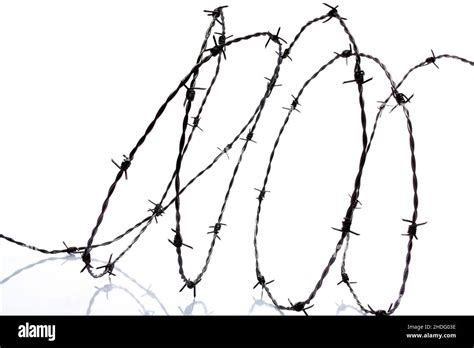 How Does Razor Wire Work At Ruth Madison Blog