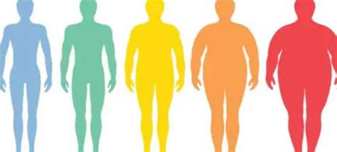 Bmi计算大众健康网