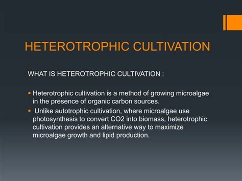 Microalgae Cultivation Methods Pptx Geography Science