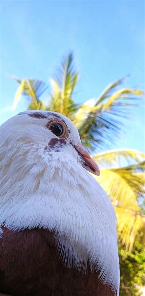 gowthaman murugan photography