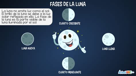 La Luna Y Sus Fases Árbol Abc