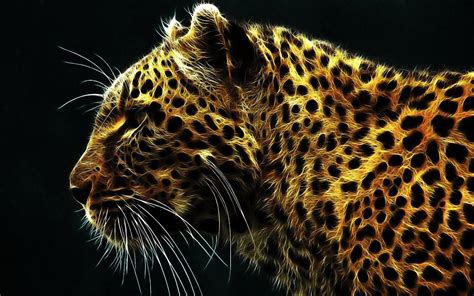 Cheetah Print Desktop Wallpapers Wallpaper Cave
