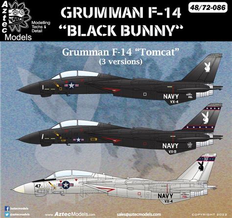 D 086 Grumman F 14 Tomcat Black Bunny Aztec Models