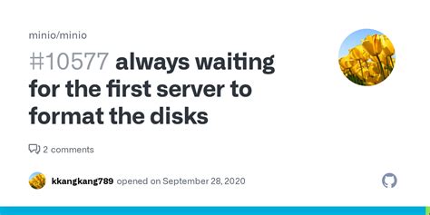 Always Waiting For The First Server To Format The Disks · Issue 10577 · Minio Minio · Github