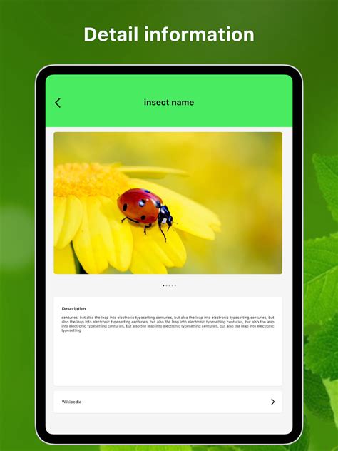 Bug Identifier Insect Identification For Android Download
