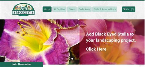 Html Css Bug Fixed Nav Covers 23 Of Screen Freelancer