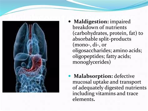 Malabsorption Syndromes Pptx