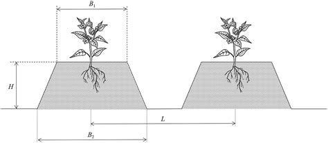 Discrete Element Method Multibody Dynamics Coupling Simulation And Experiment Of Rotary Tillage