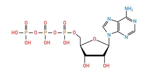 D Ribose Bilder Bläddra Bland 1 081 Stockfoton Vektorer Och Videor Adobe Stock