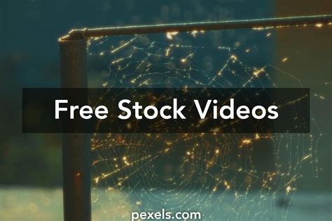 Madchen In Dew Schule Videos Download The Best Free 4k Stock Video