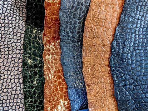 21021 New Alligator Hides Anvil Customs