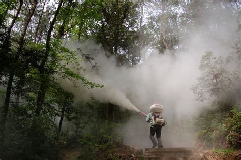 天牛防治 虫 第3页 大山谷图库